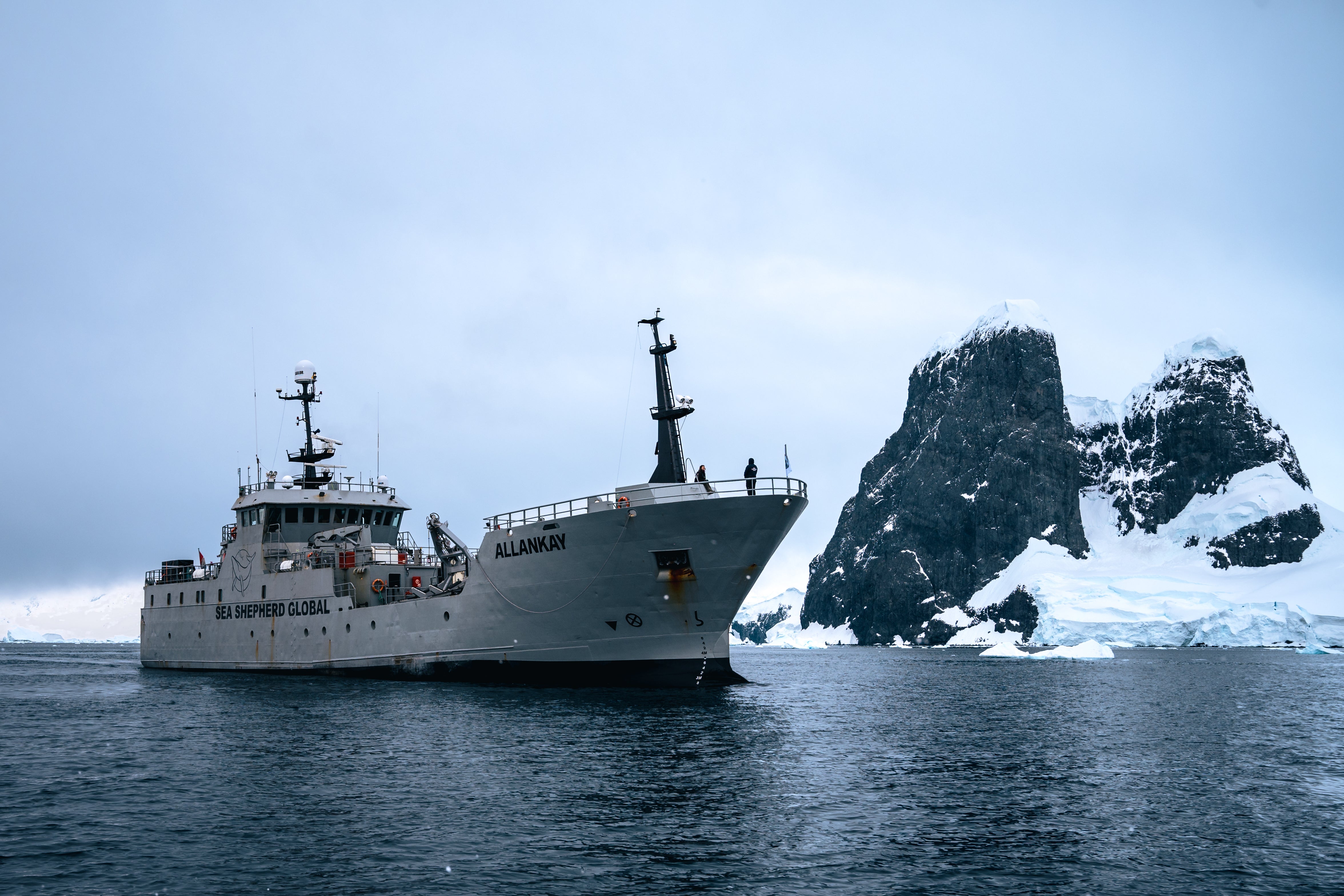 Stay Warm – Sea Shepherd Australia