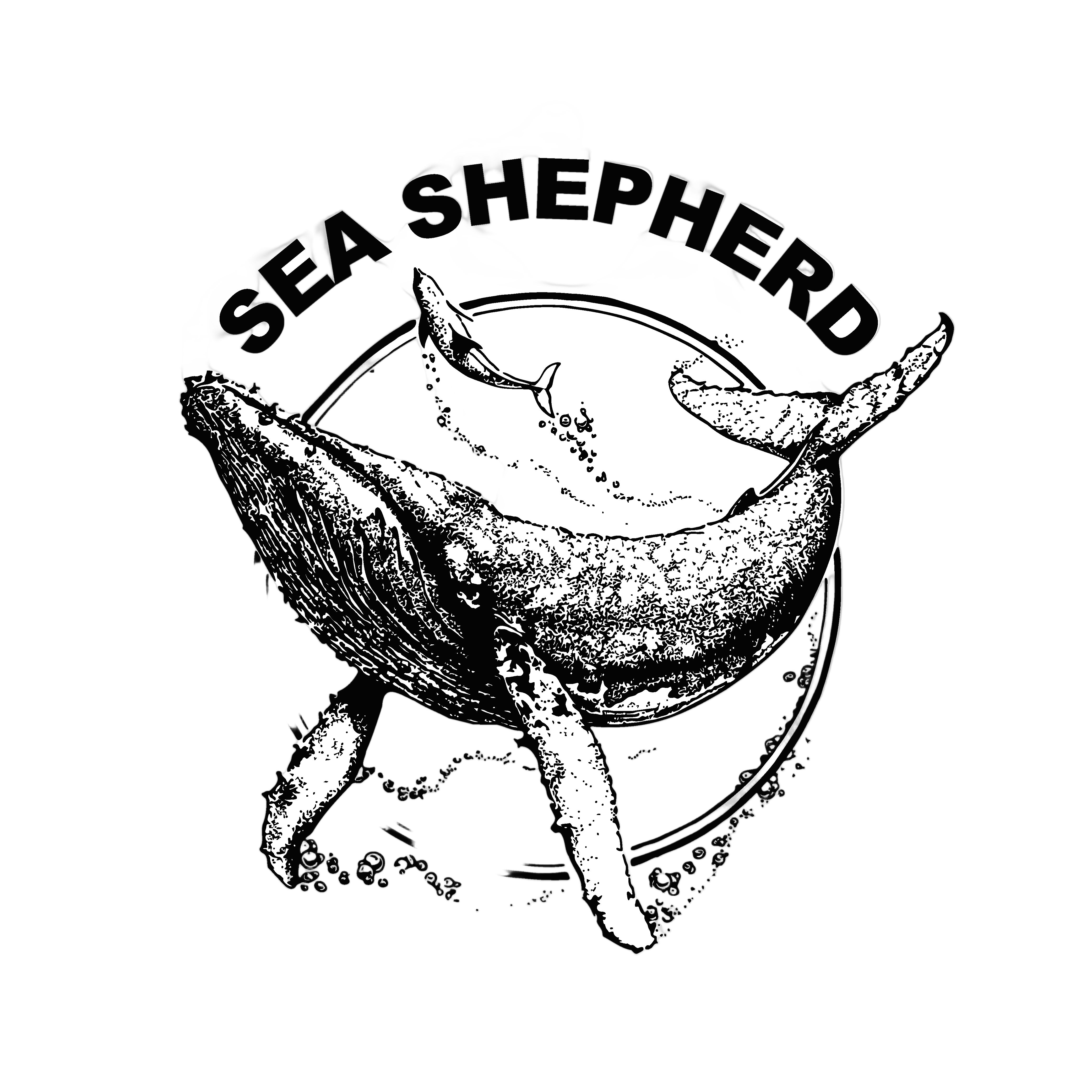 Classic Whale Round Sticker – Sea Shepherd Australia